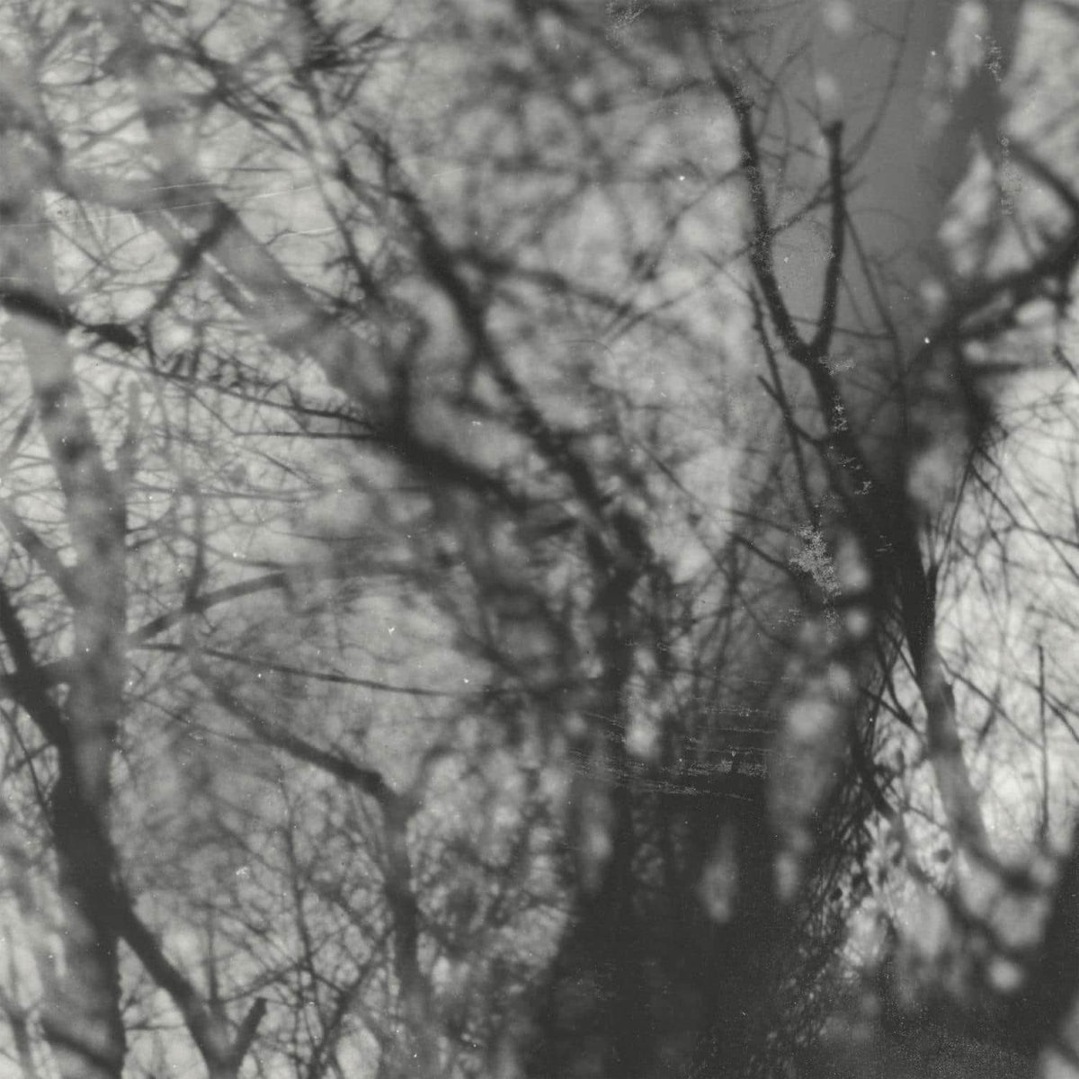 Grouper - Way Their Crept LP – Tangled Parrot