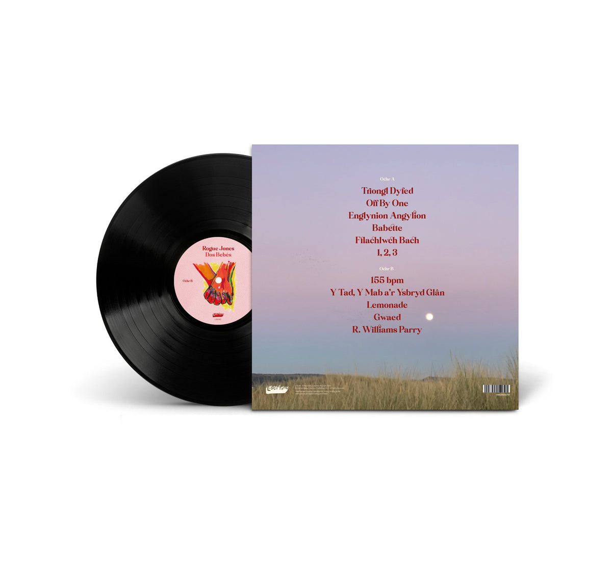 Rogue Jones - Dos Bebés LP – Tangled Parrot