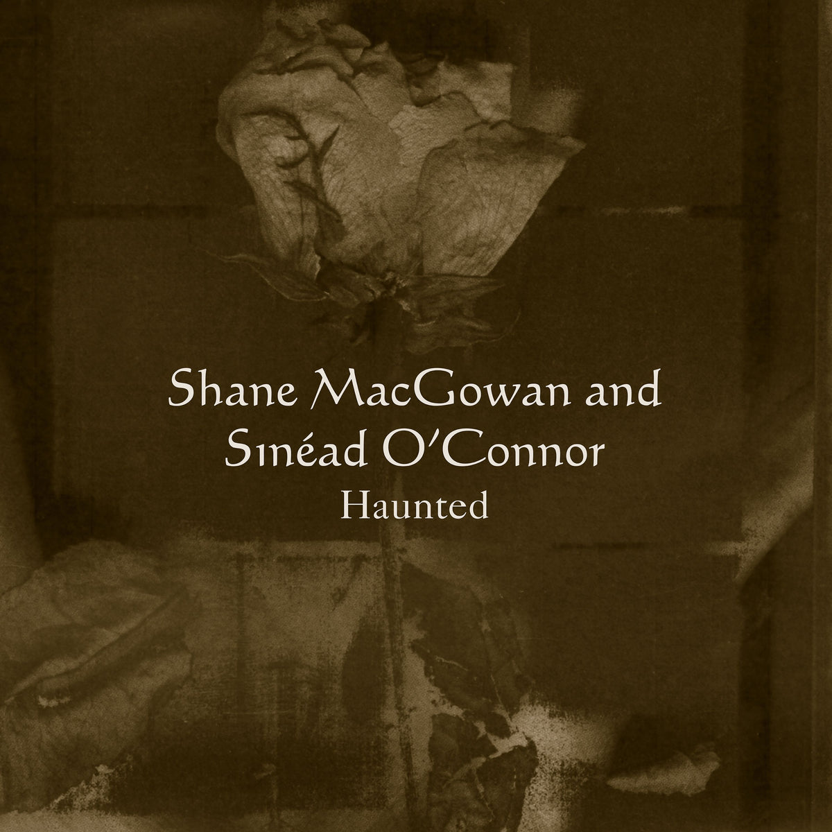 Shane MacGowan & Sinead O'Connor - Haunted (30th Anniversary) - 12" Ul ...