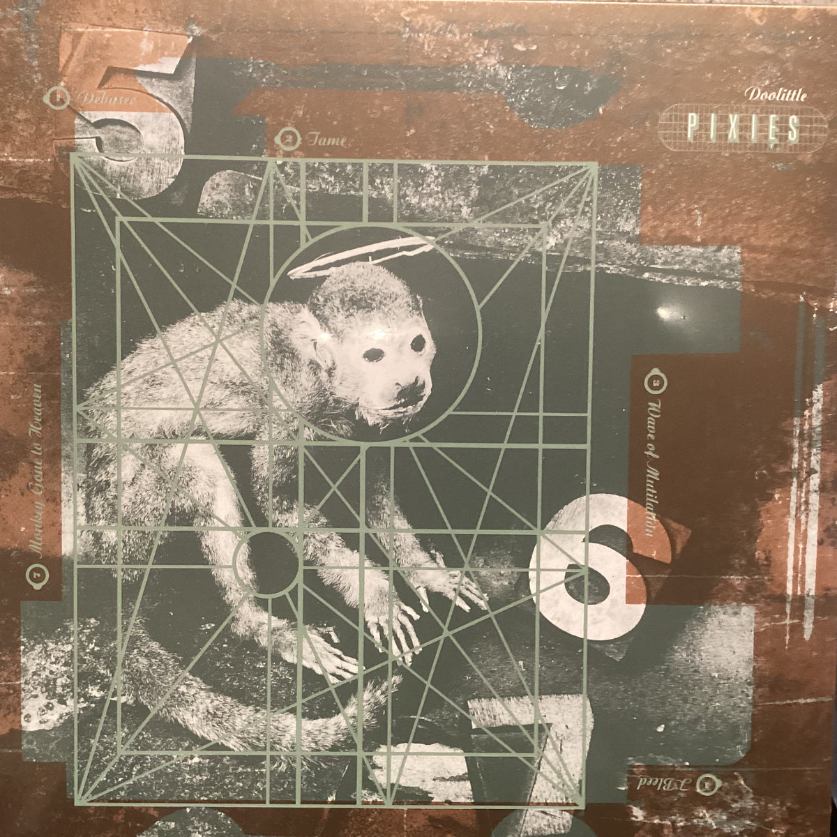 Pixies - Doolittle CD/LP – Tangled Parrot